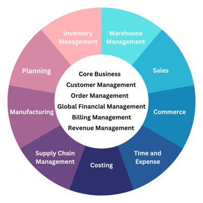 Oracle NetSuite - For Manufacturing - Victrix Systems & Labs
